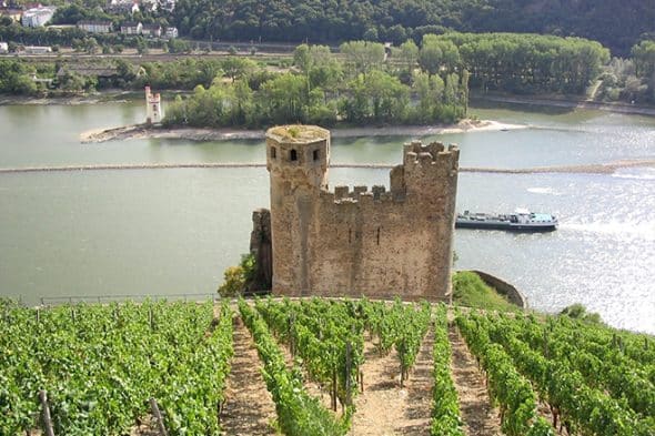 Weingut Friedrich Fendel - Deutsche Manufakturenstrasse